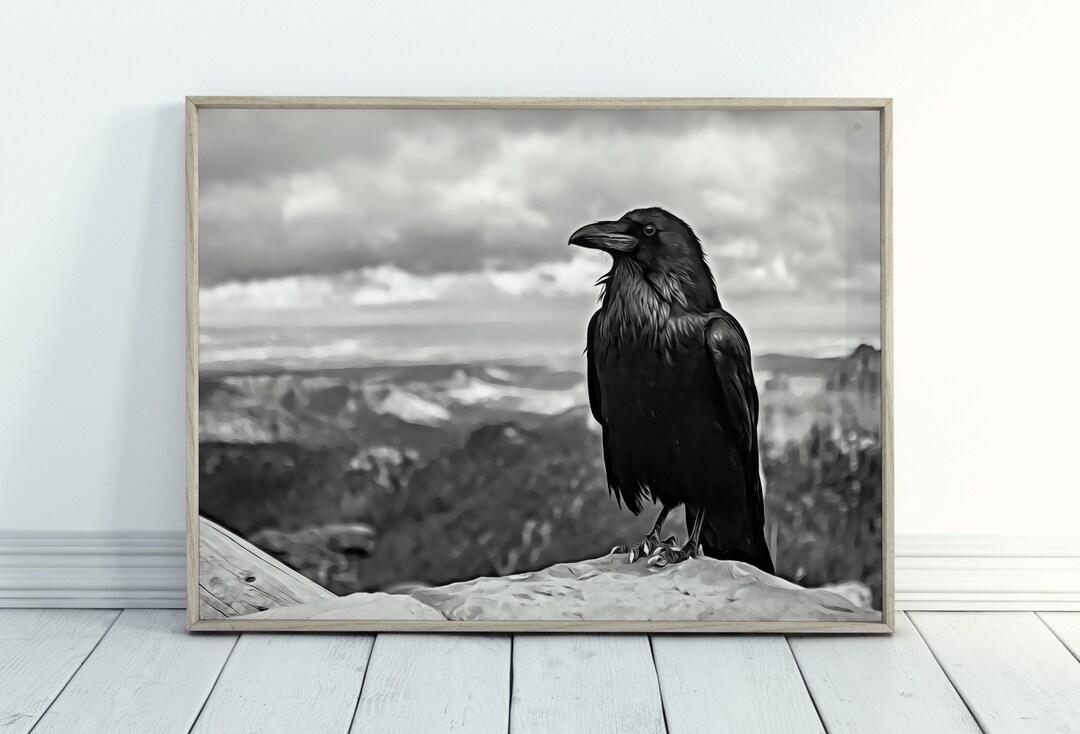 Raven Sitting on Rock Printable Digital Painting. Instant - Etsy