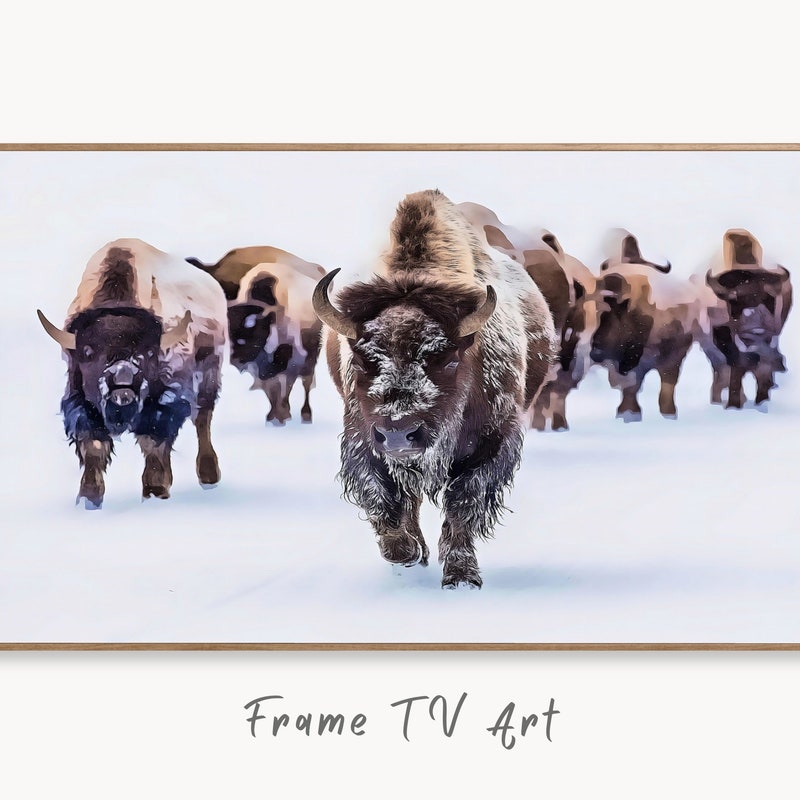Framed Bison Snow Art - Etsy