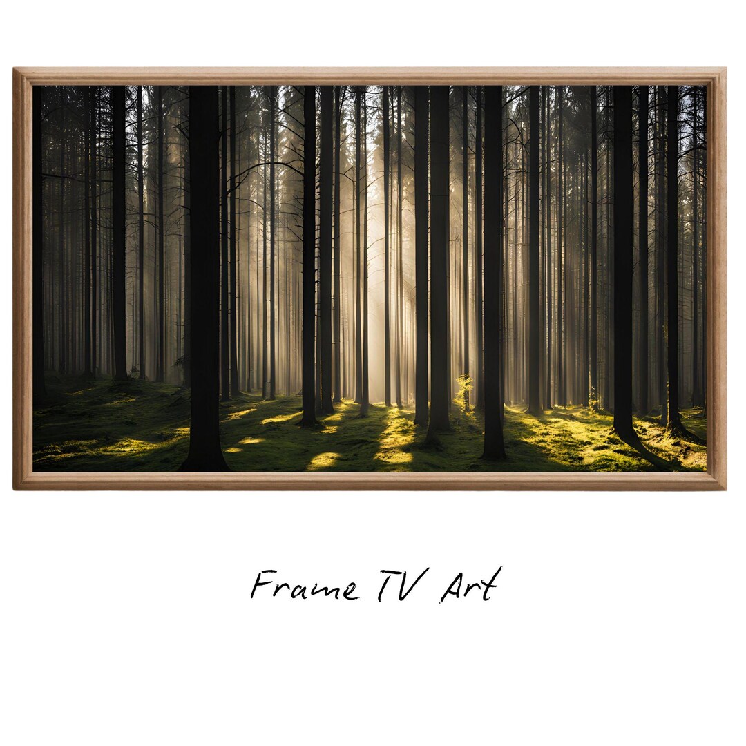 Sunlight Forest Art For Frame Tv Dense Green 4k Nature Scene Outdoor