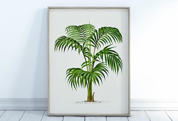 Printable Vintage Palm Tree Art. INSTANT DOWNLOAD Botanical | Etsy
