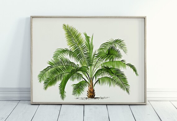 Printable Vintage Palm Tree Art. INSTANT DOWNLOAD Botanical | Etsy