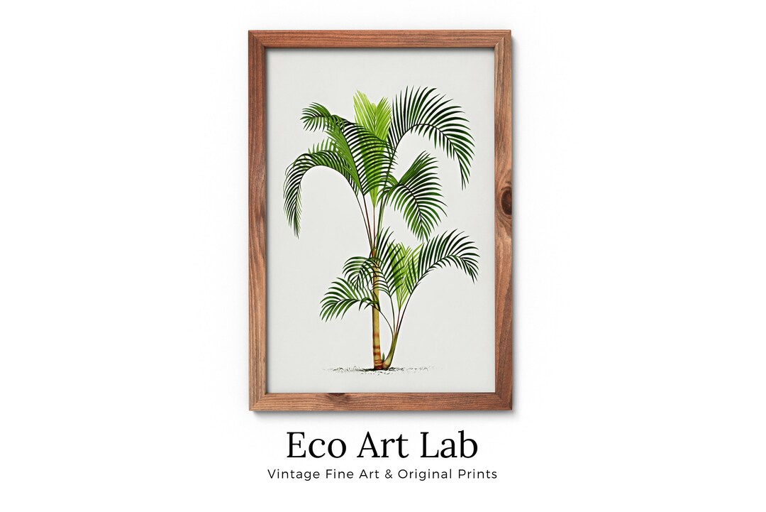 Printable Vintage Palm Tree Art. INSTANT DOWNLOAD Botanical Wall Art ...