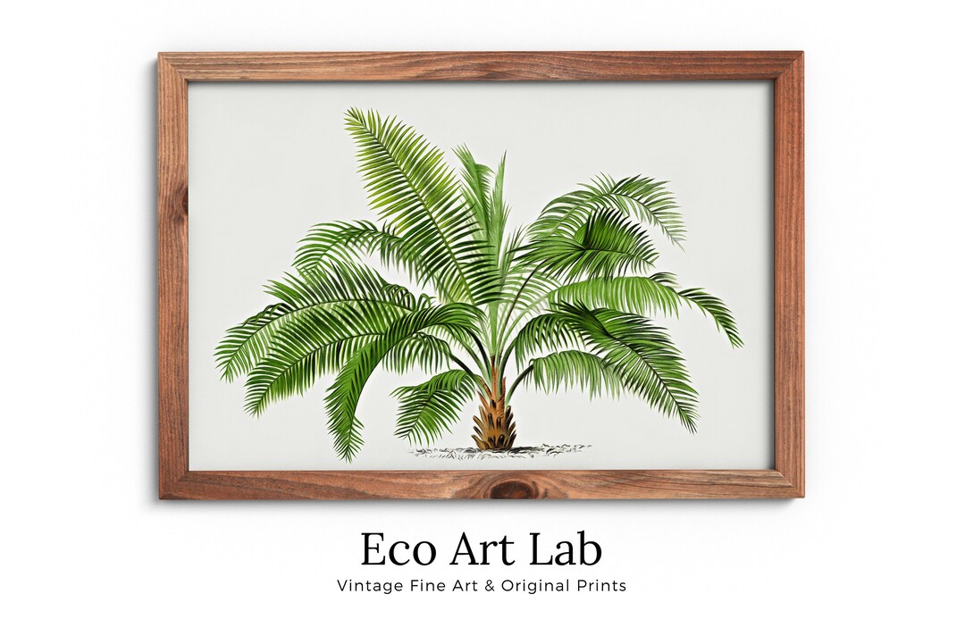Printable Vintage Palm Tree Art. INSTANT DOWNLOAD Botanical Wall Art ...