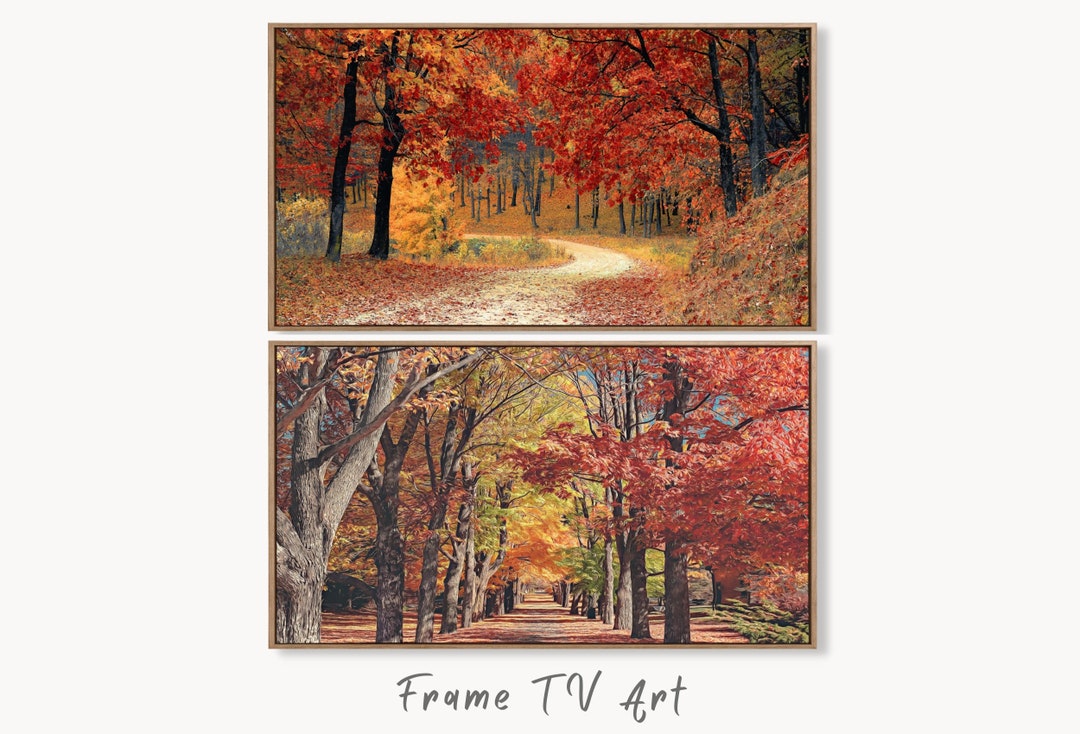 Samsung Frame TV Art 4K Forest Trails in the Fall Landscape Digital ...