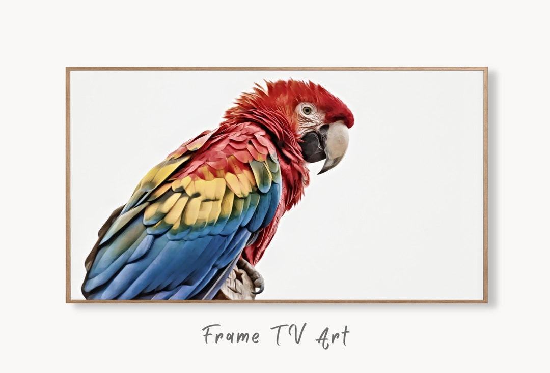 Parrot Frame TV Art 4K Digital Download, Digital Art for Tv, Colorful ...