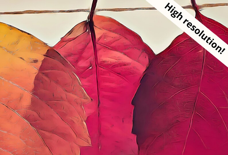 Samsung Frame TV Art 4K Hanging Autumn Leaves Digital - Etsy