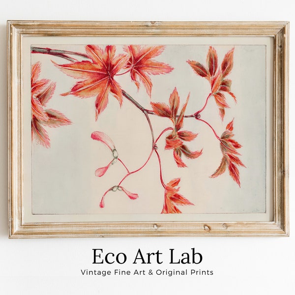 Maple Leaf Print - Etsy