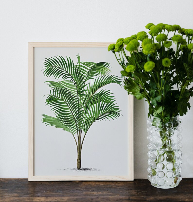 Vintage Palm Tree Print Tropical Wall Art Palm Leaves Tree Etsy
