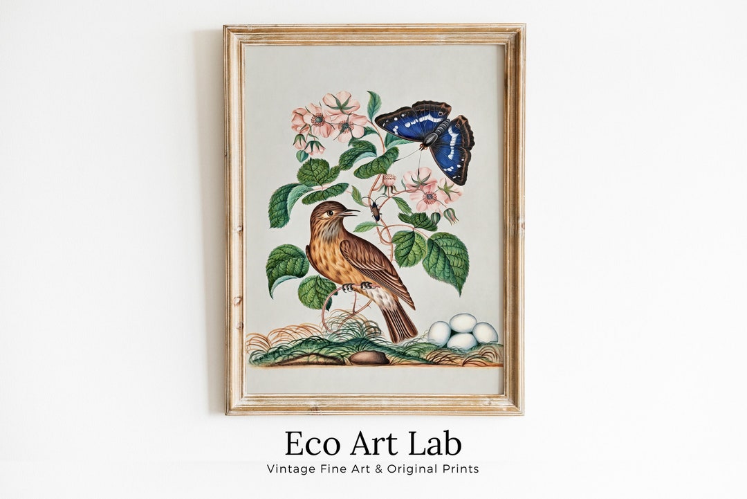 Vintage Butterfly Print: Botanical Bird and Flower Decor (digital ...