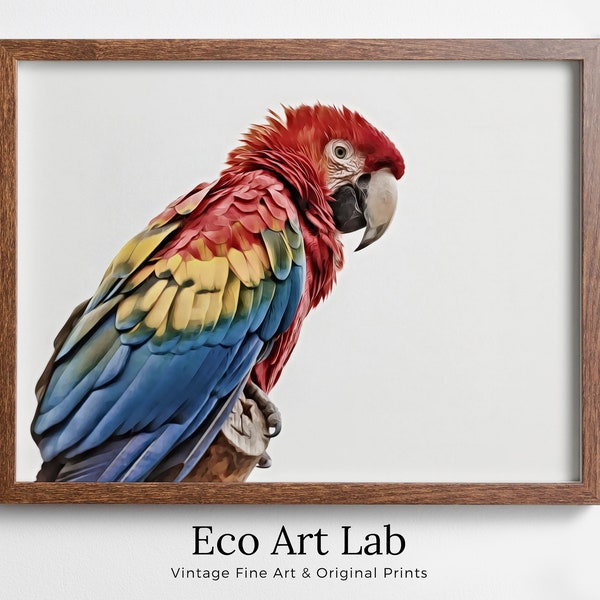 Blue Parrot Art - Etsy