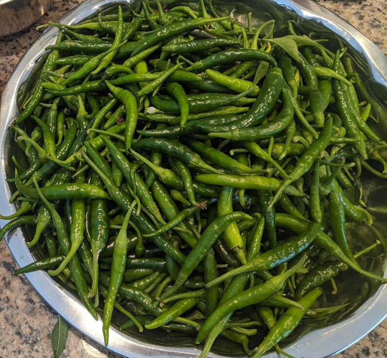 Organic Indian Long Green Chilli Seeds, Non-gmo (30+) - Etsy