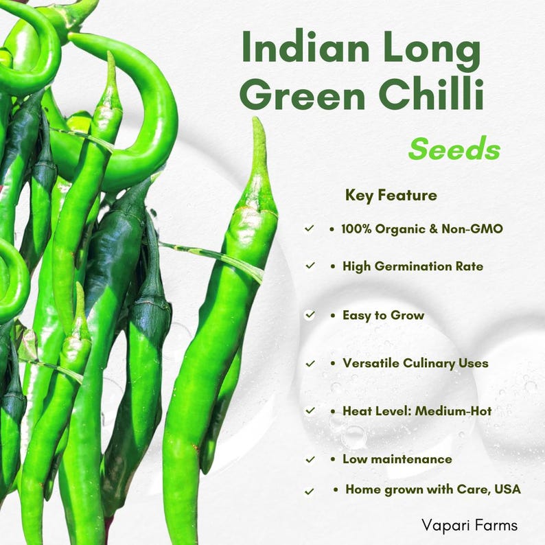 Organic Indian Long Green Chilli Seeds, Non-gmo (30+) - Etsy
