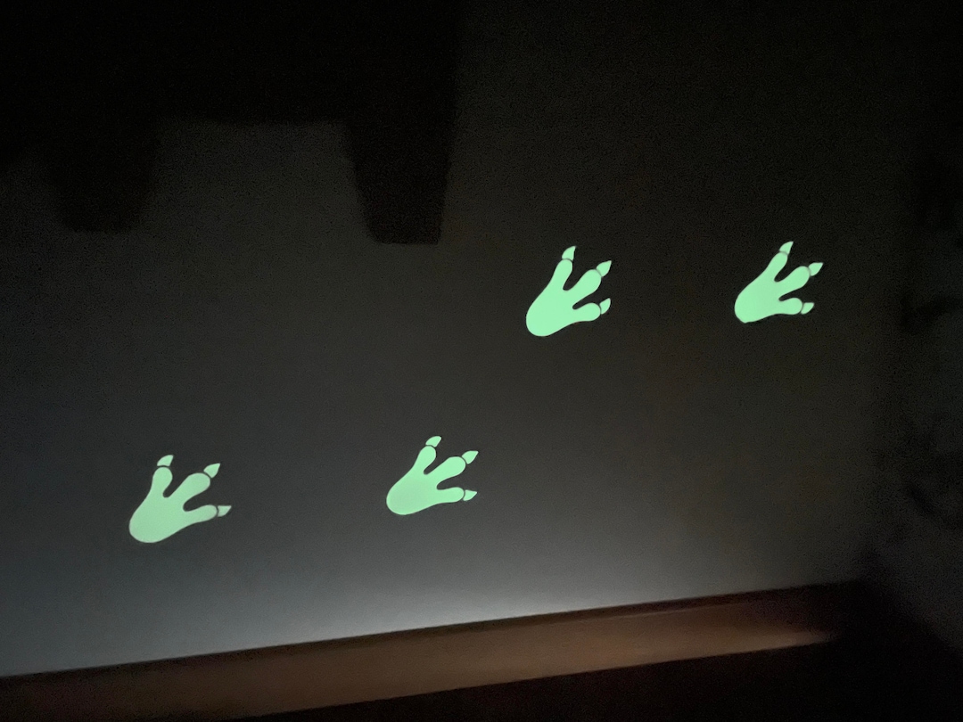 Sticker / Phosphorescent Sticker Dinosaur Footprints - Etsy