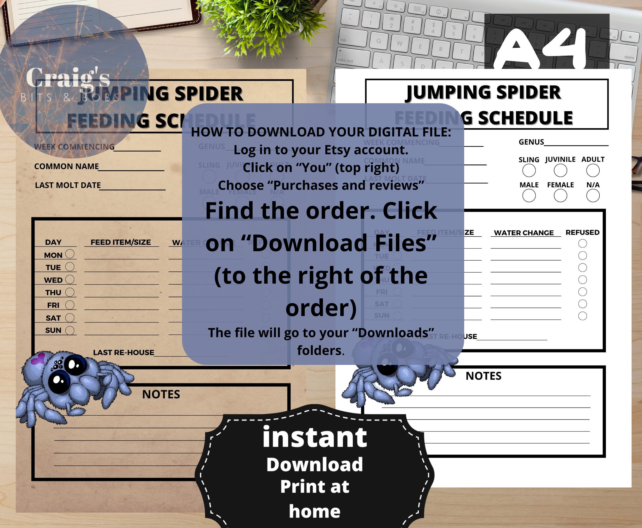 Jumping Spider, Feeding Schedule,tarantula Supplies,digital Print Out ...