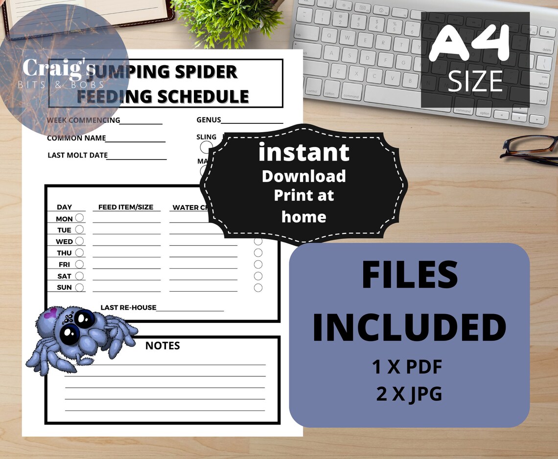 Jumping Spider, Feeding Schedule,tarantula Supplies,digital Print Out ...