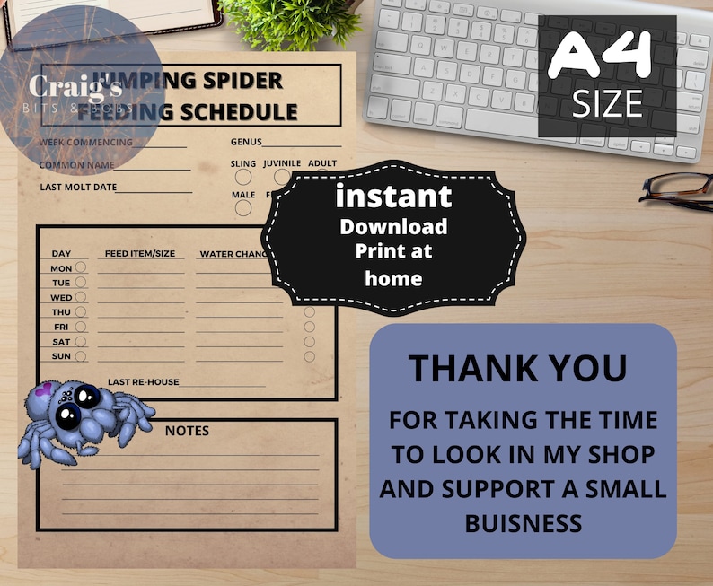 Jumping Spider, Feeding Schedule,tarantula Supplies,digital Print Out ...