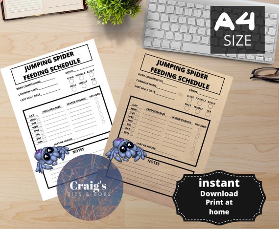Jumping Spider Feeding Scheduletarantula Suppliesdigital - Etsy