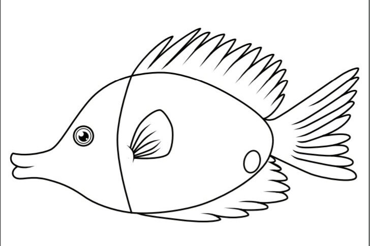 Fish Coloring Pages Fish Template 21 Printable Coloring Pages - Etsy