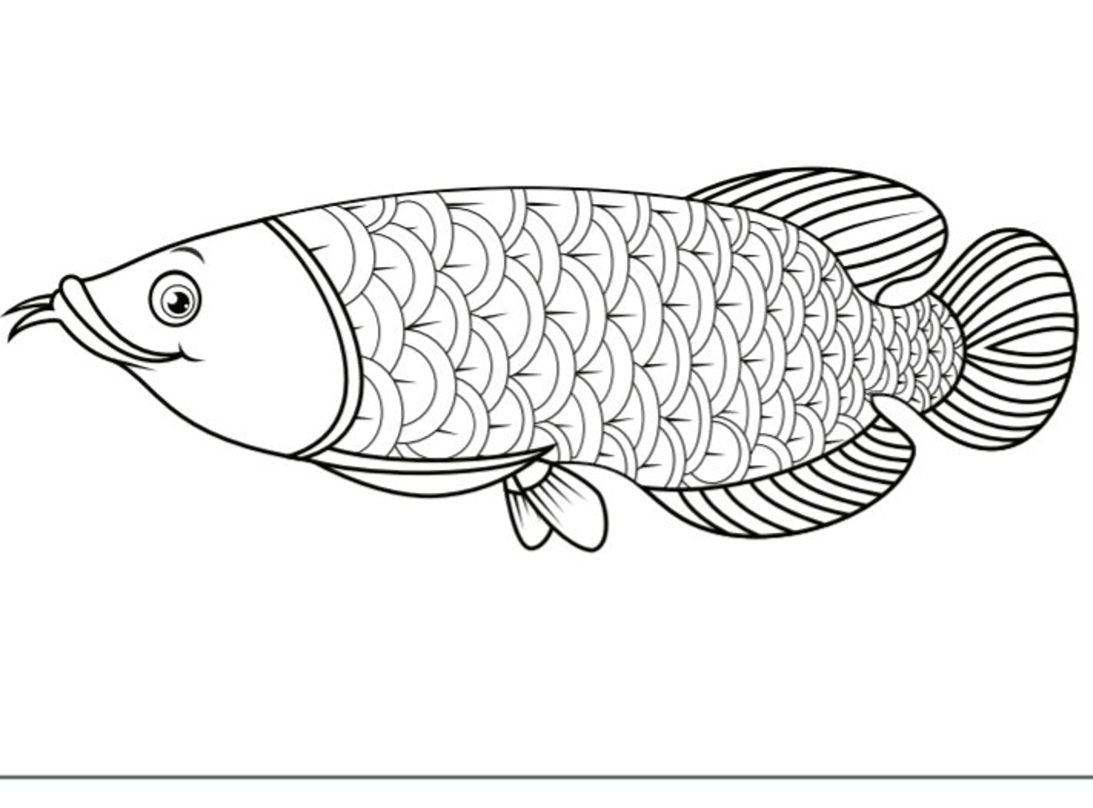 Fish Coloring Pages Fish Template 21 Printable Coloring Pages - Etsy
