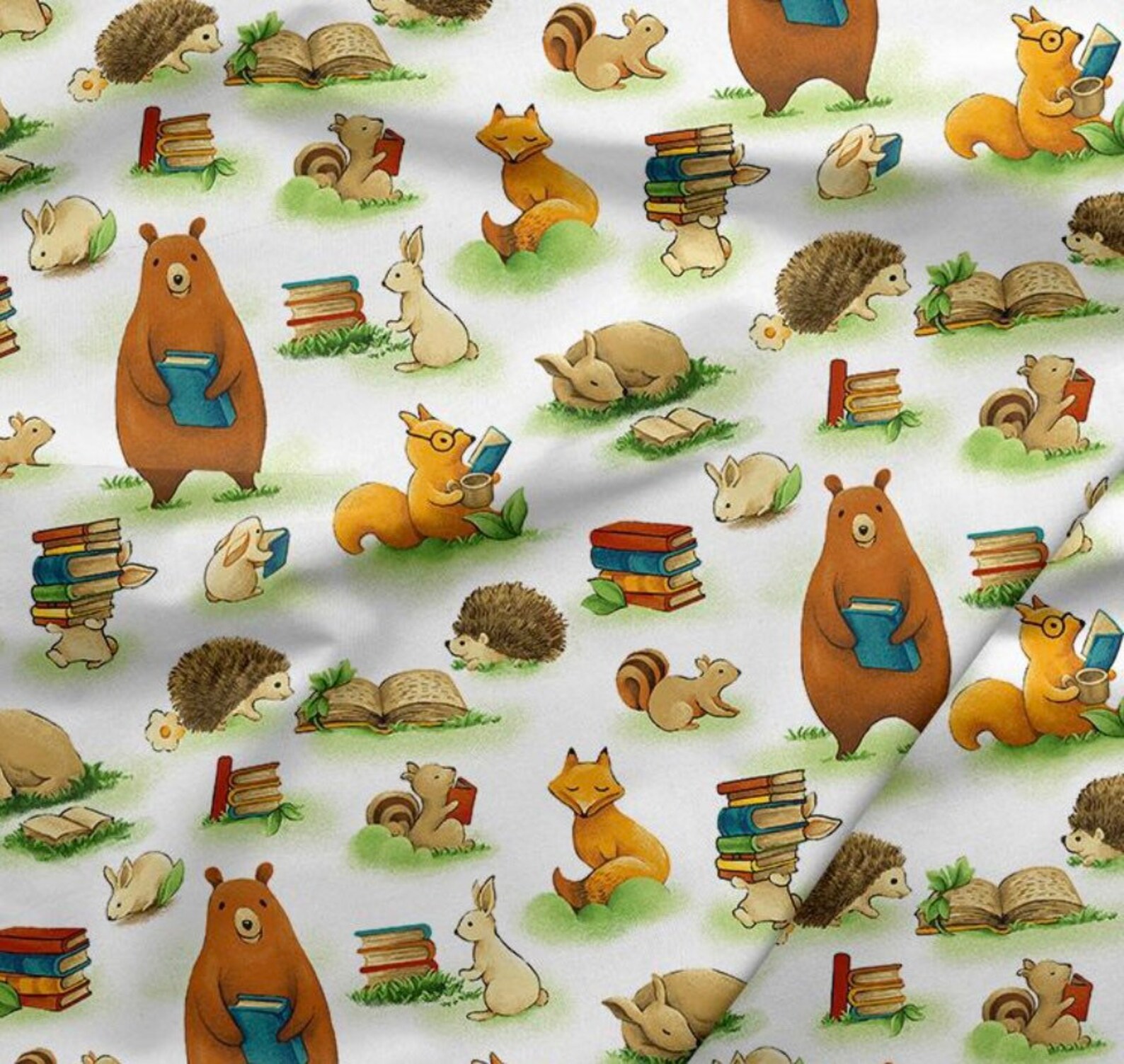 Forest Fables Animals With Books - Etsy
