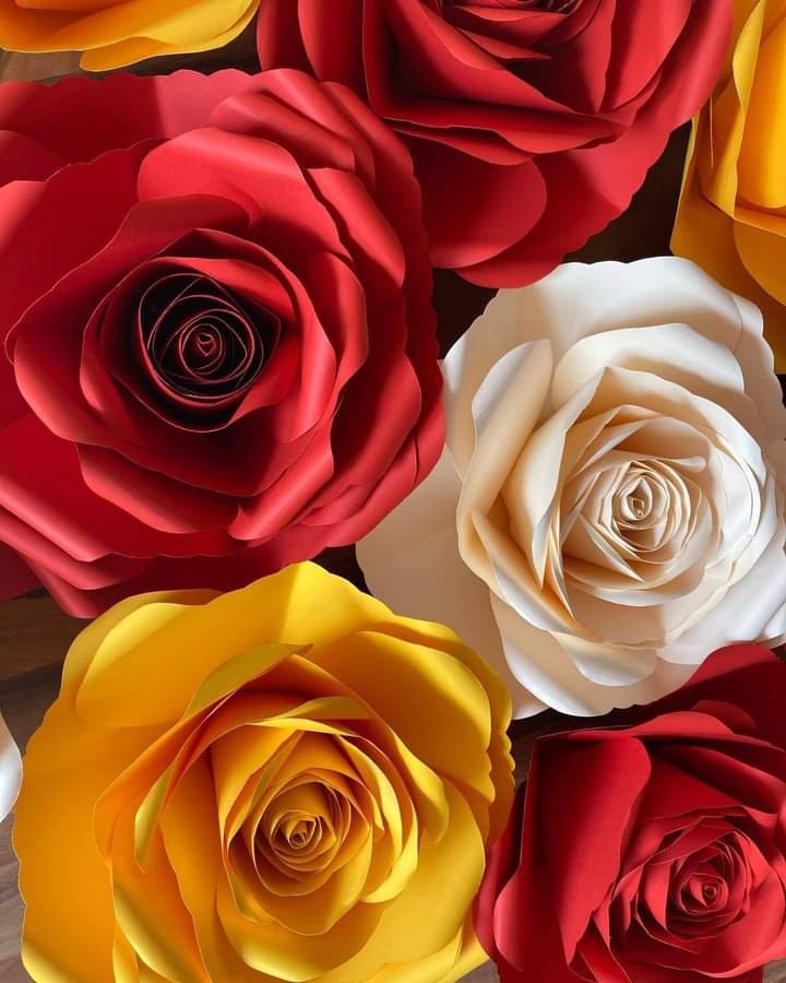 20 Metres EVA Foam Isolon 2 Mm, for Making Big Flowers and Other ...