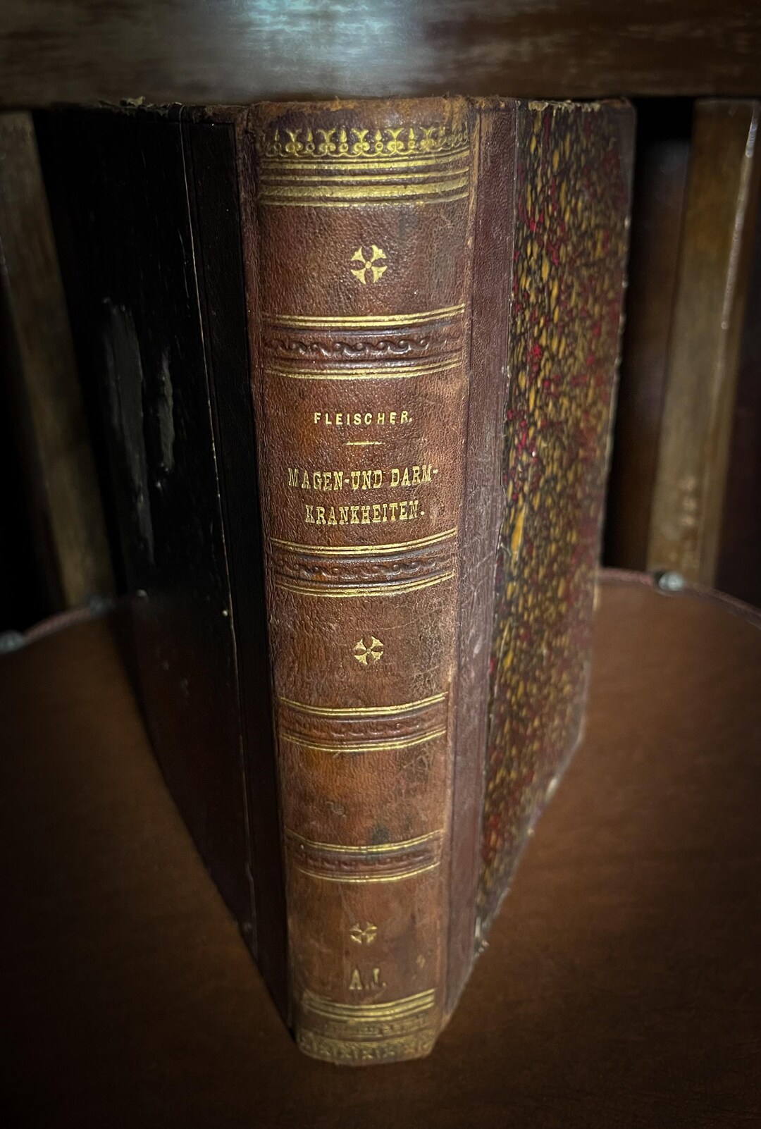 Antique Medical Book | Magen- Und Darm-krankheiten | Gastrointestinal ...