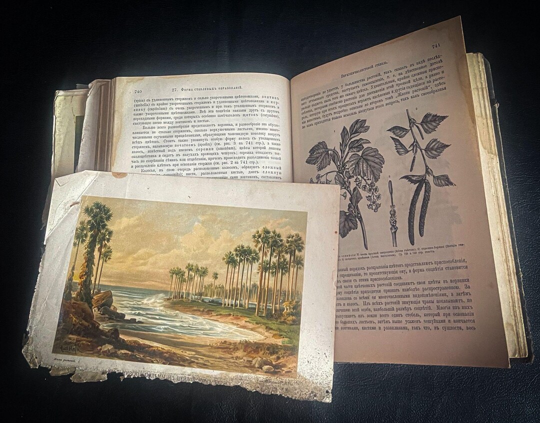 Antique 19th Century Book, Old Botany Book, Tsar Era Book,biology ...