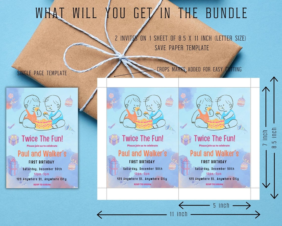 Twice the Fun Birthday Party Invite, Twins Birthday Invite, Twins Party ...