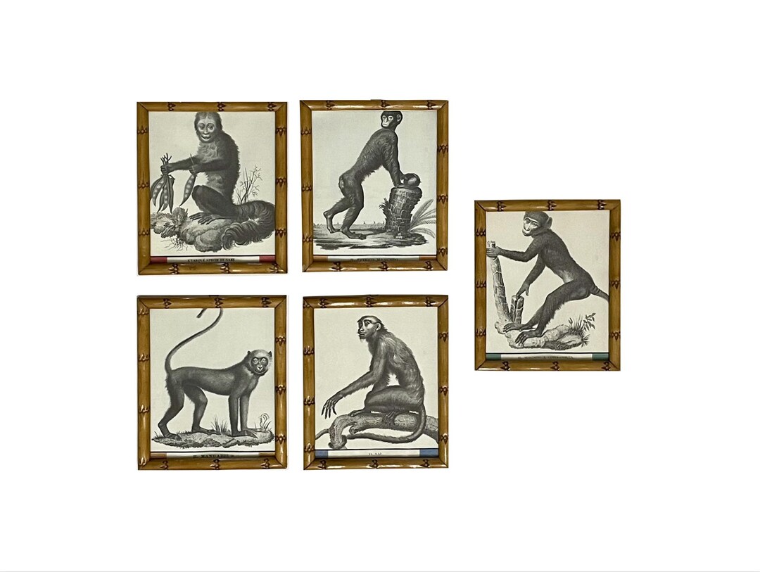 Set of Small Vintage Faux Bamboo Effect Frame Handcrafted in Italy in ...