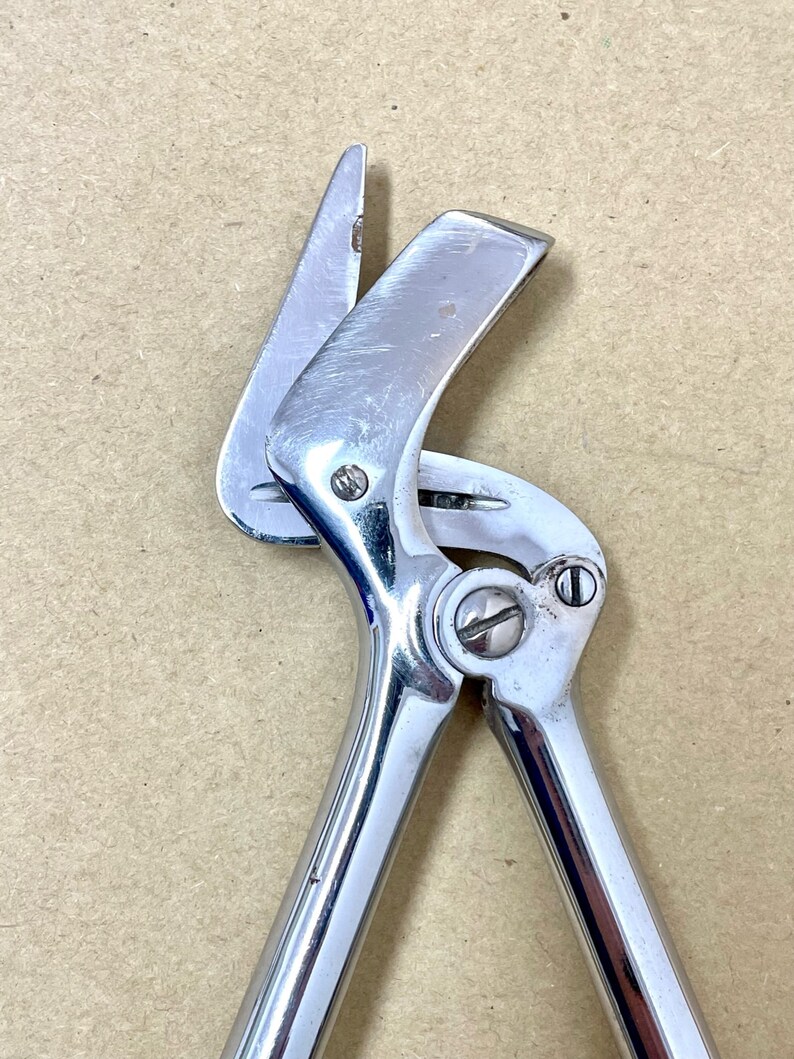 Set of 12 Surgical Instruments - 60s (3) - Etsy