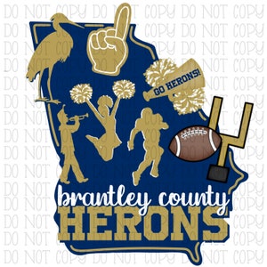 Brantley County Herons Georgia Gold and Blue - Football Cheer Band ...