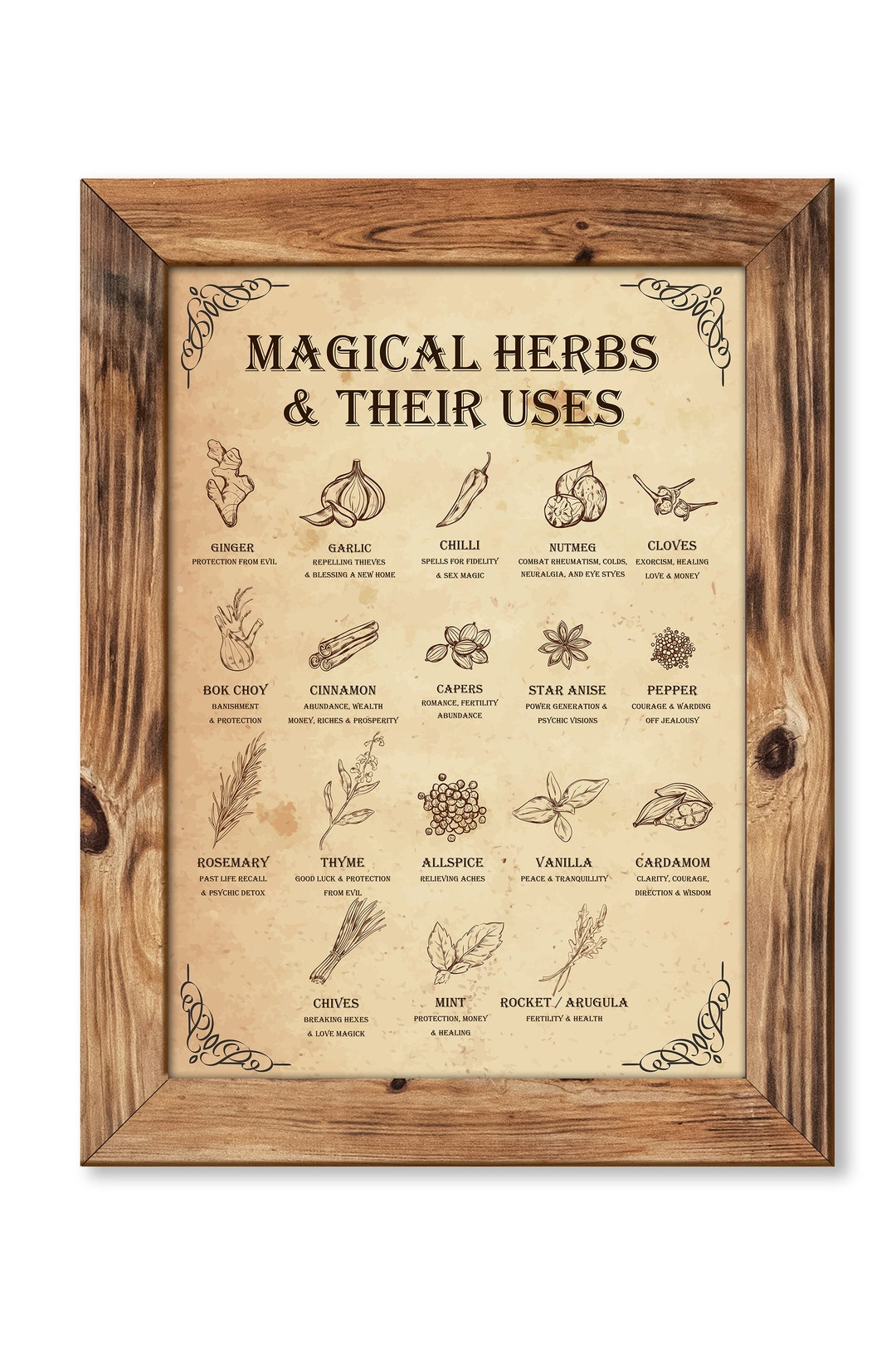 Magical Herbs Poster - Printed Version - Witch, Magickal Herbs Poster ...
