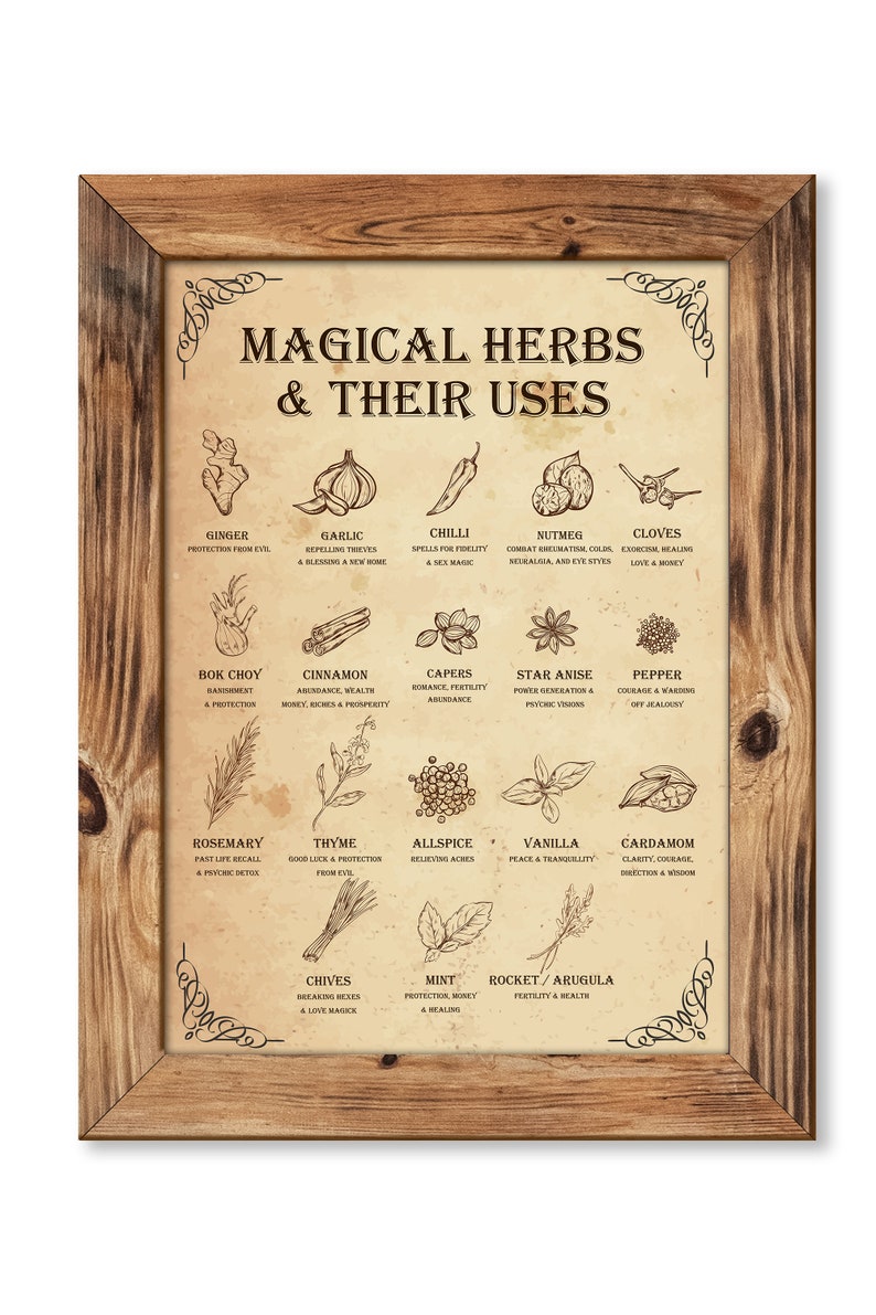 Magical Herbs Poster - Printed Version - Witch, Magickal Herbs Poster ...