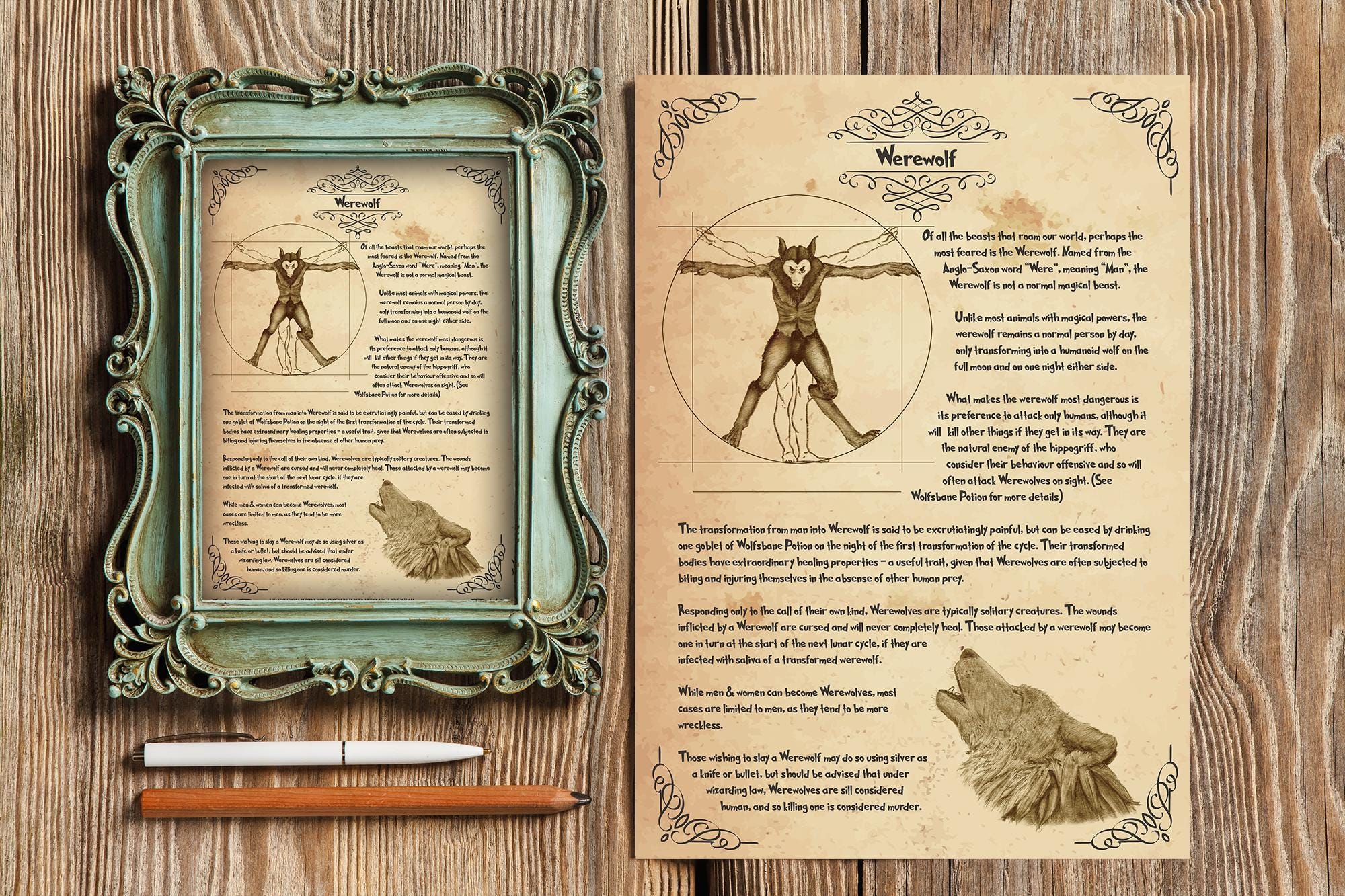 Werewolf Poster, Werewolf Anatomy Poster, Werewolf Text Book Poster ...