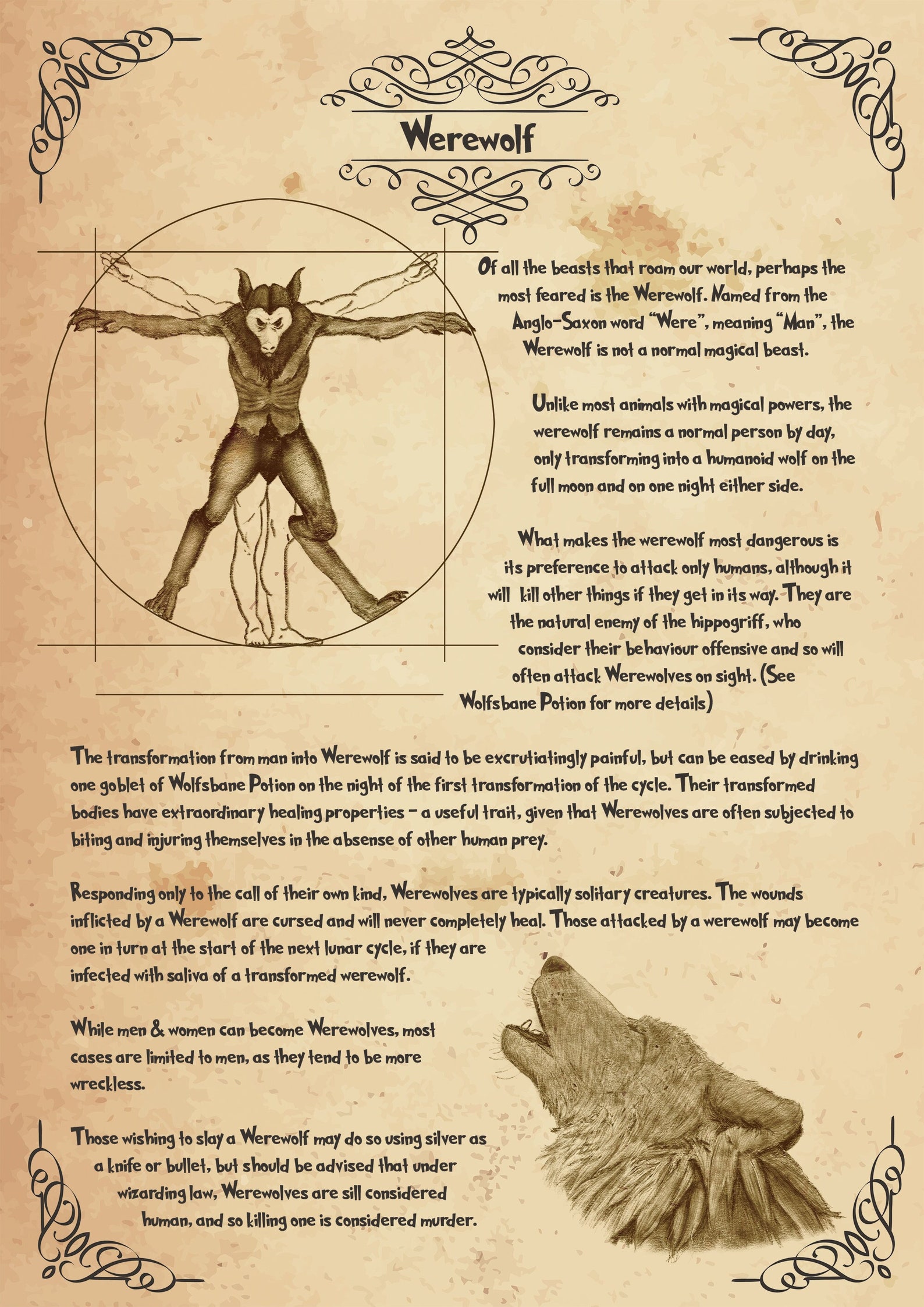 Werewolf Poster, Werewolf Anatomy Poster, Werewolf Text Book Poster ...