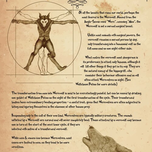 Werewolf Poster Werewolf Anatomy Poster Werewolf Text Book - Etsy Canada