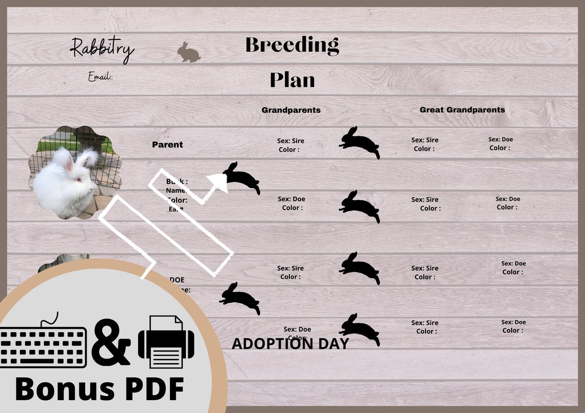 EDITABLE Custom Rabbit Breeding Plan, Complete Pedigreetemplates ...