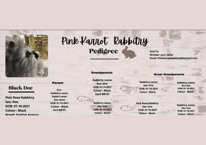 Personalized Custom Rabbit Pedigree Template, Rabbit Pedigree, Breeding ...