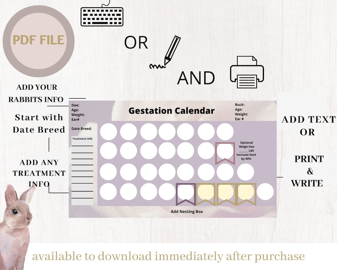 Editable Rabbit Gestation Calendar Template, Printable, Rabbitry ...