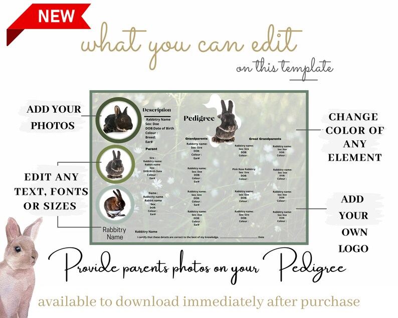 3 Photo Pedigree, Editable Pedigree, Rabbit Pedigree, Meadow, Breeding ...