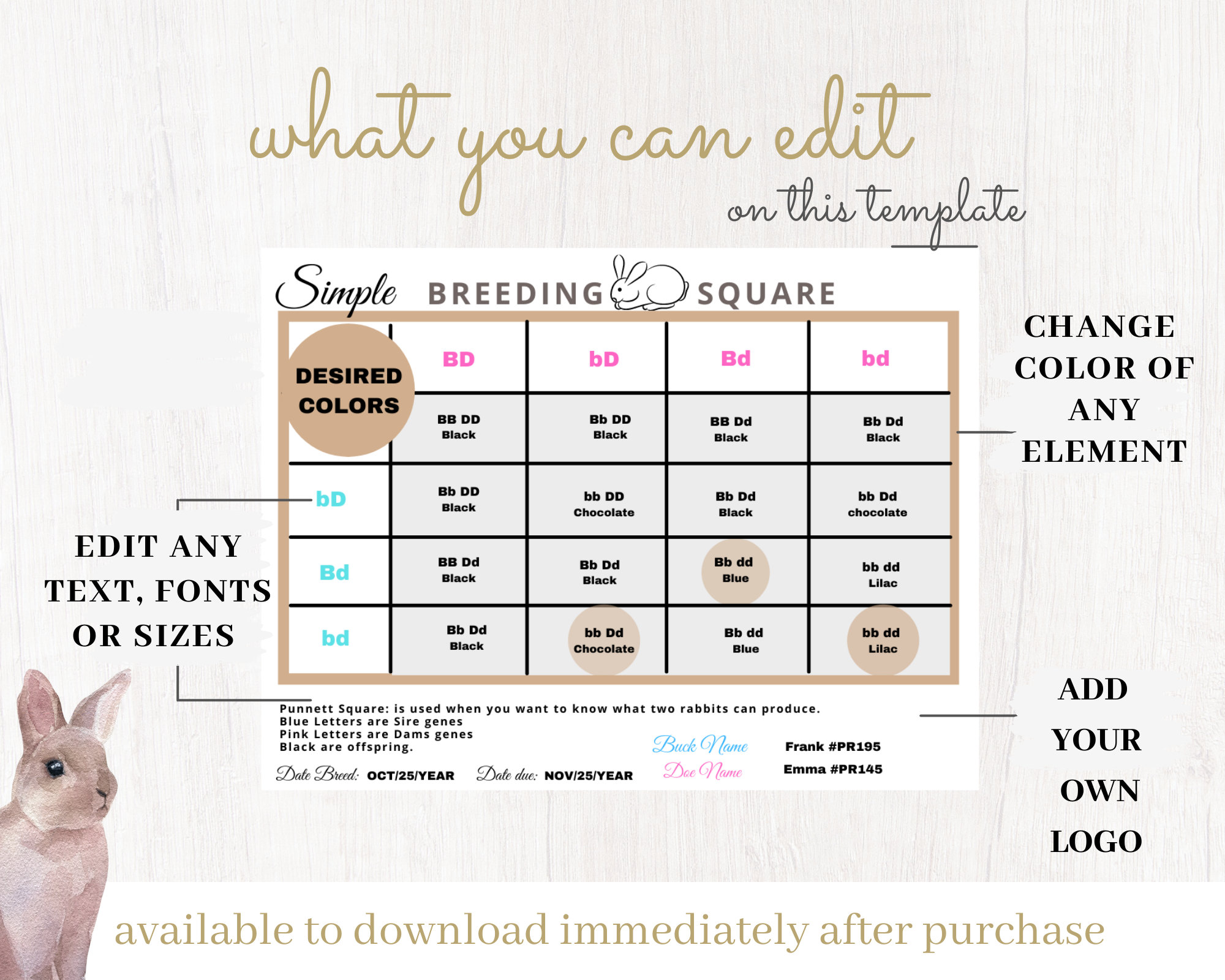 EDITABLE, Punnett Breeding Square, Template, Breeder Tools, Template ...