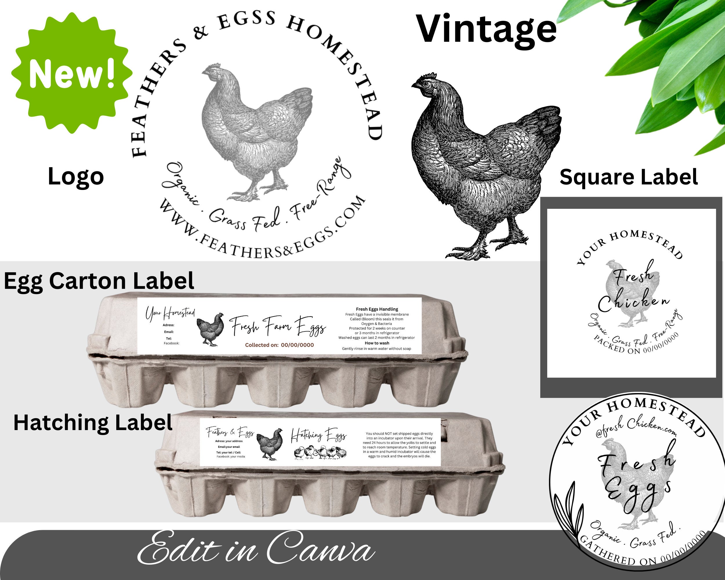 Editable Vintage Chicken Labels, Chicken Labels, Chicken Logo, Chicken ...