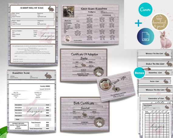 Editable Rabbitry Package Templates Invoice Bill of Sales - Etsy