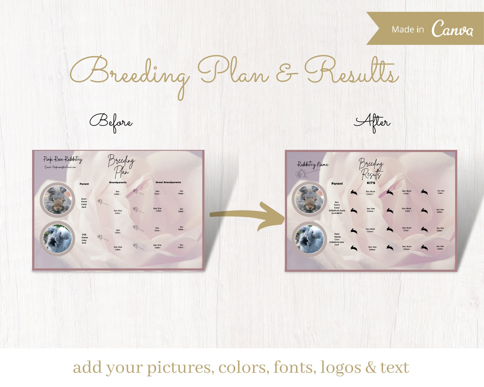 Editable Pink Rose Rabbit Breeding Plan Package & Pedigree, Rabbitry ...