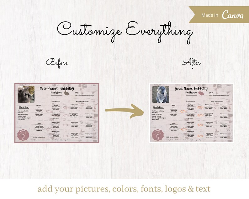 Personalized Custom Rabbit Pedigree Template, Rabbit Pedigree, Breeding ...