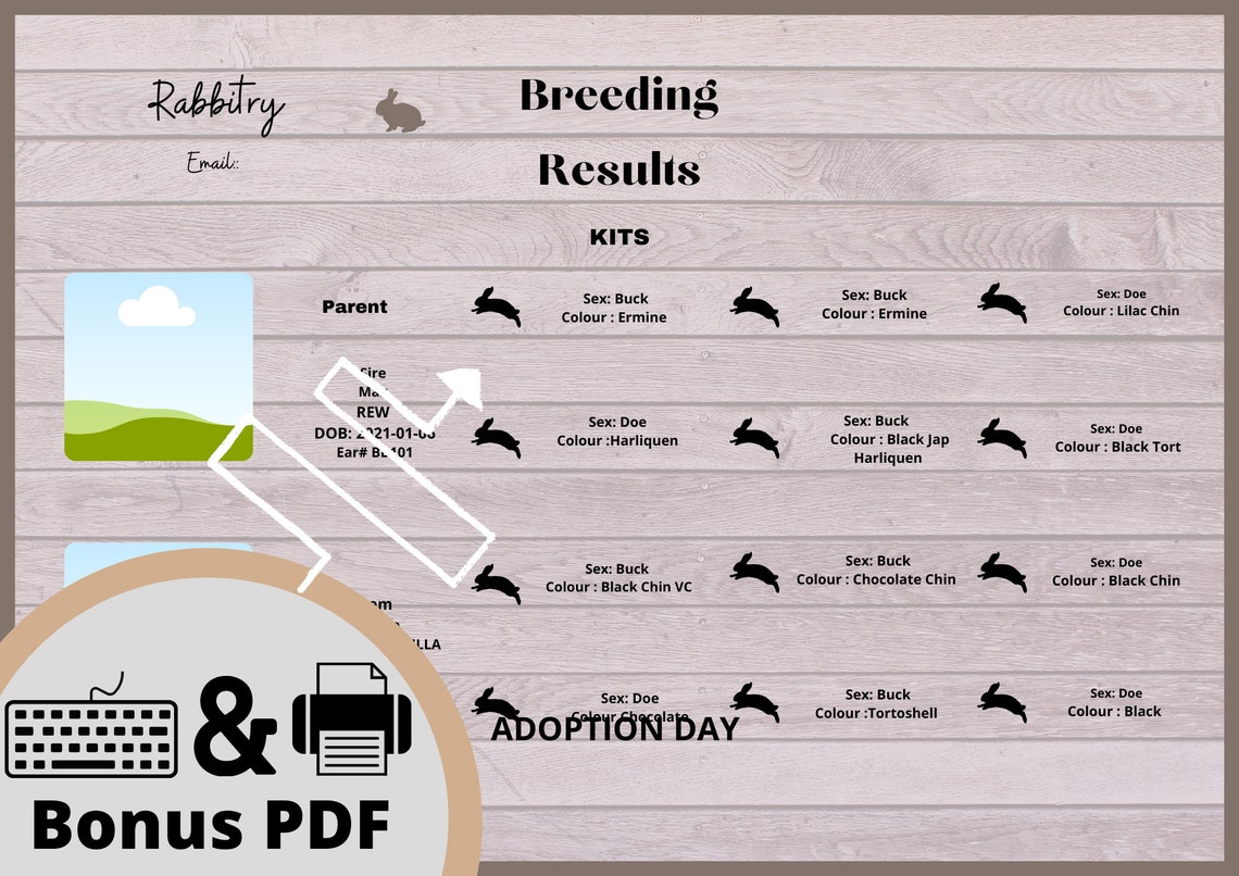 EDITABLE Custom Rabbit Breeding Plan, Complete Pedigreetemplates ...
