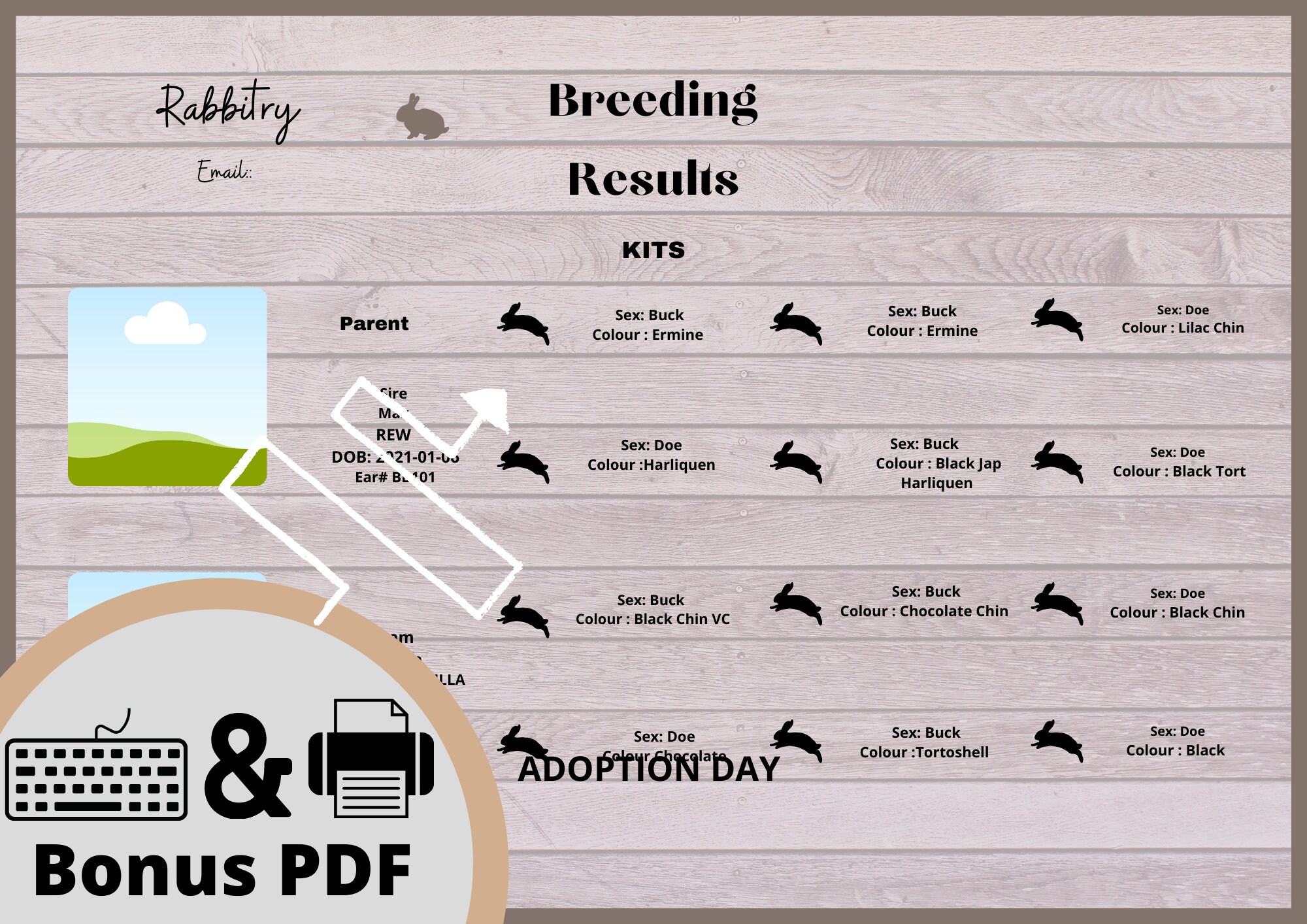 EDITABLE Custom Rabbit Breeding Plan, Complete Pedigreetemplates ...