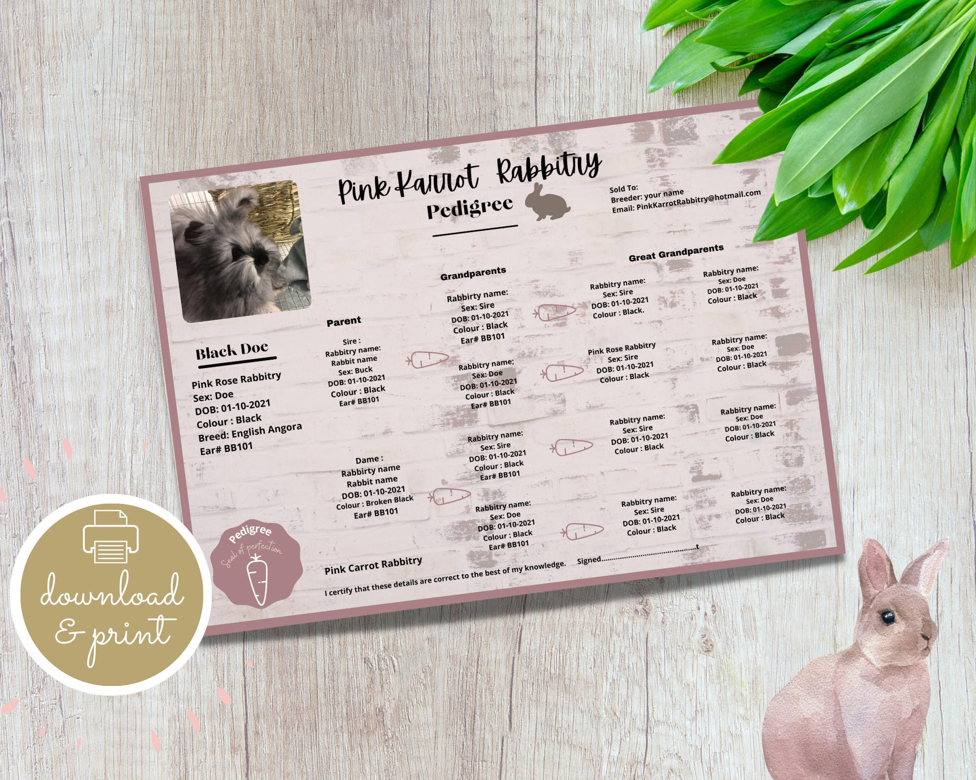 Personalized Custom Rabbit Pedigree Template, Rabbit Pedigree, Breeding ...