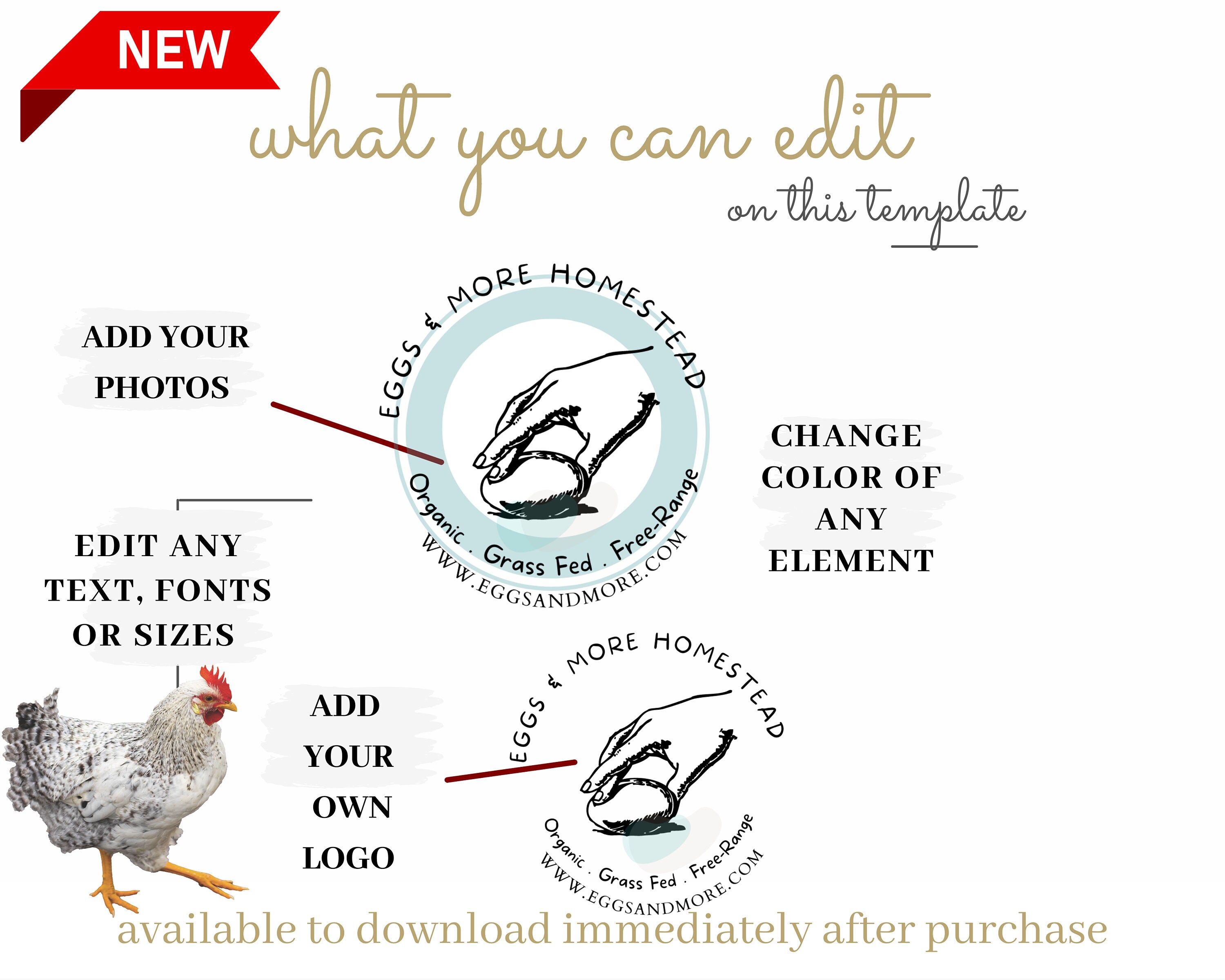 Editable Chicken Templates, Chicken Logo, Egg Logo, Hatchery, Chicken ...