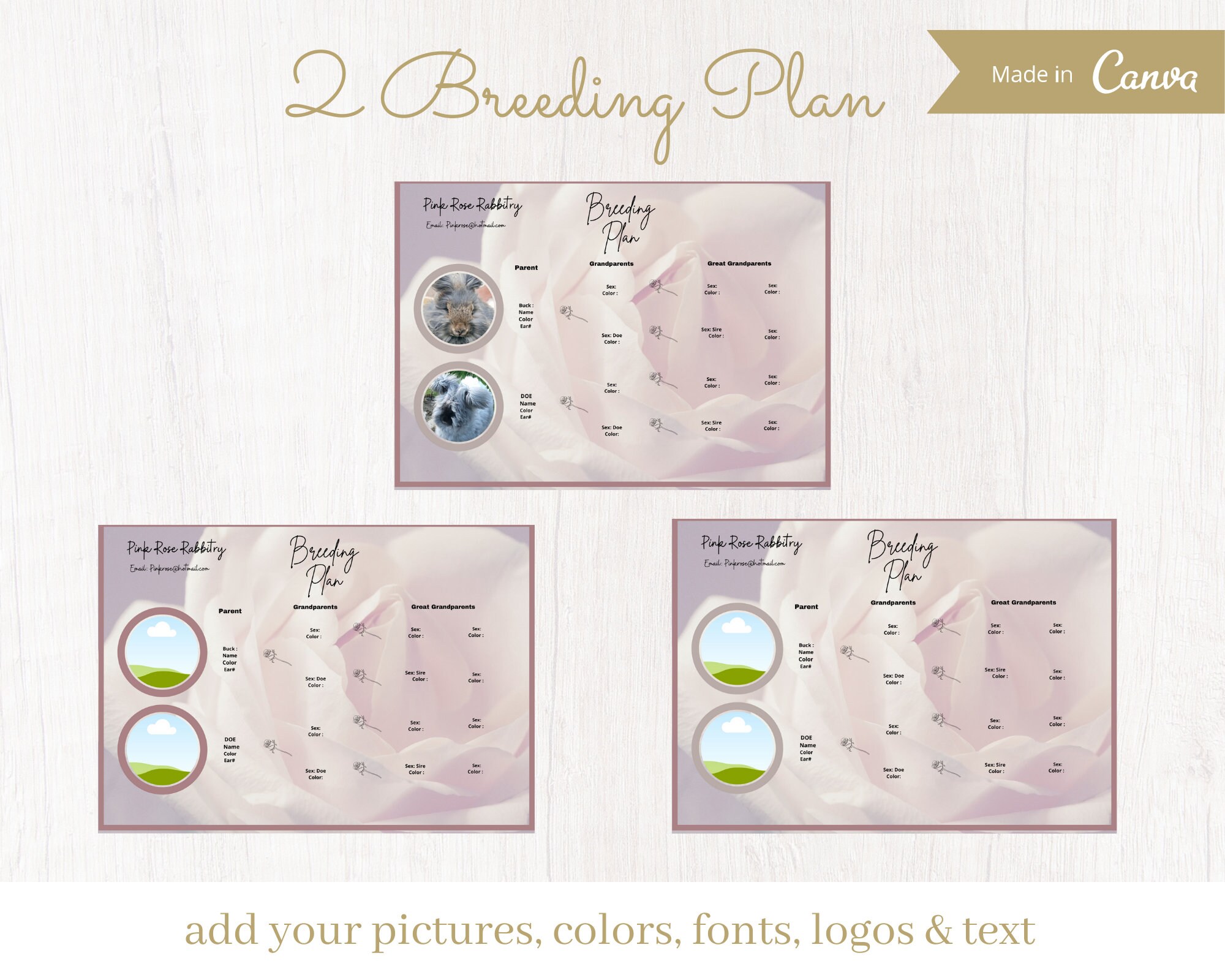Editable Pink Rose Rabbit Breeding Plan Package & Pedigree, Rabbitry ...
